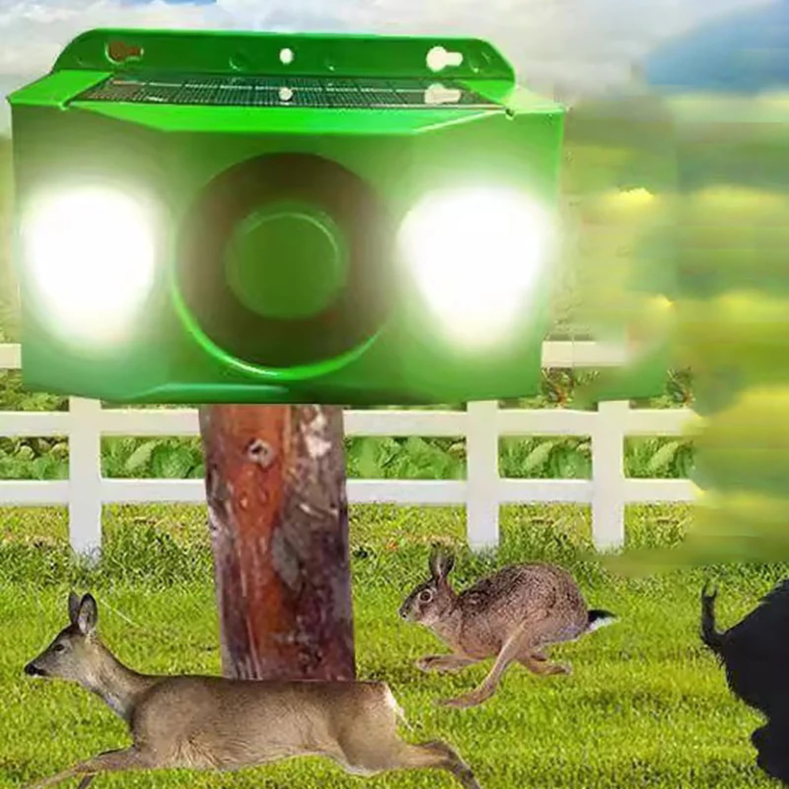 Wildlife Fe