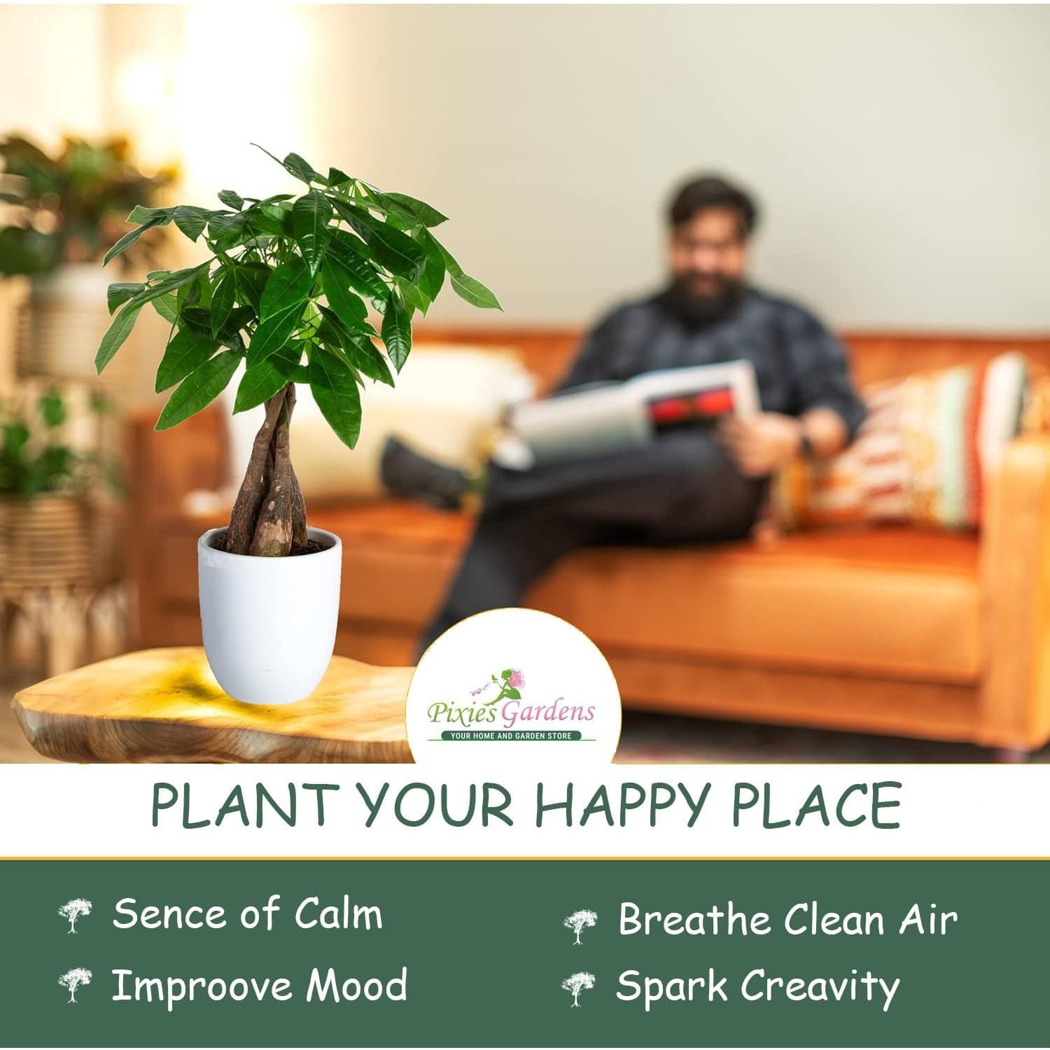 RWYP (1 Gallon) Flame Seedless Grape Vine Most Common Variety of Red ...