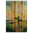 RX Surf by Parvez Taj Painting Print on Natural Pine Wood - Walmart.com