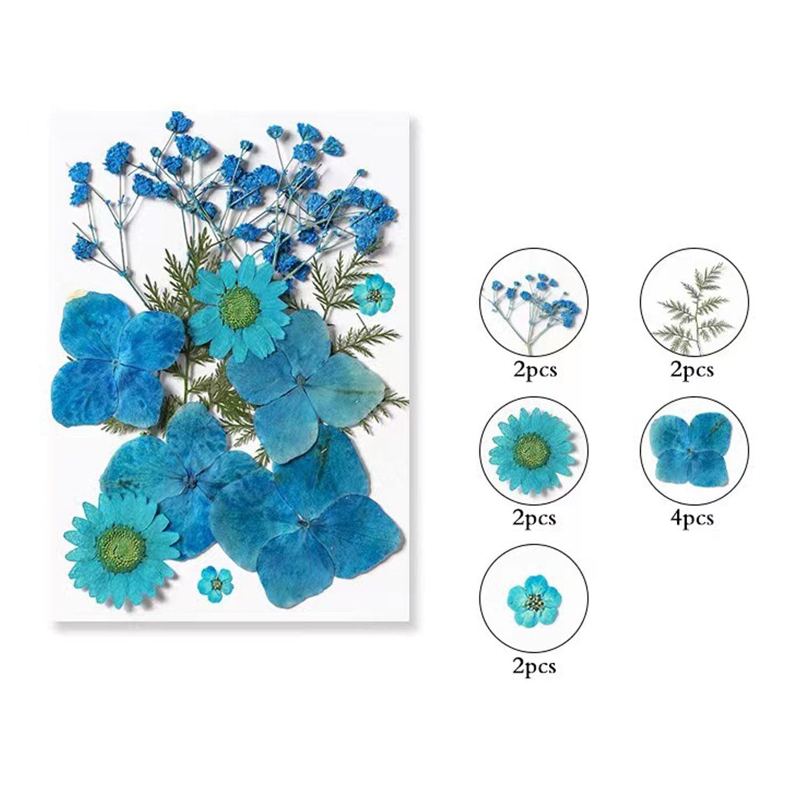 RXIRUCGD Dried Flower Bookmark Kit, Colorful Natural Dried Flowers And ...