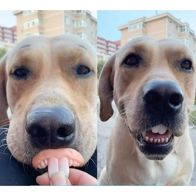 RXIRUCGD Funny Fake Teeth For Dogs False Teeth For Dog Funny Dentures ...
