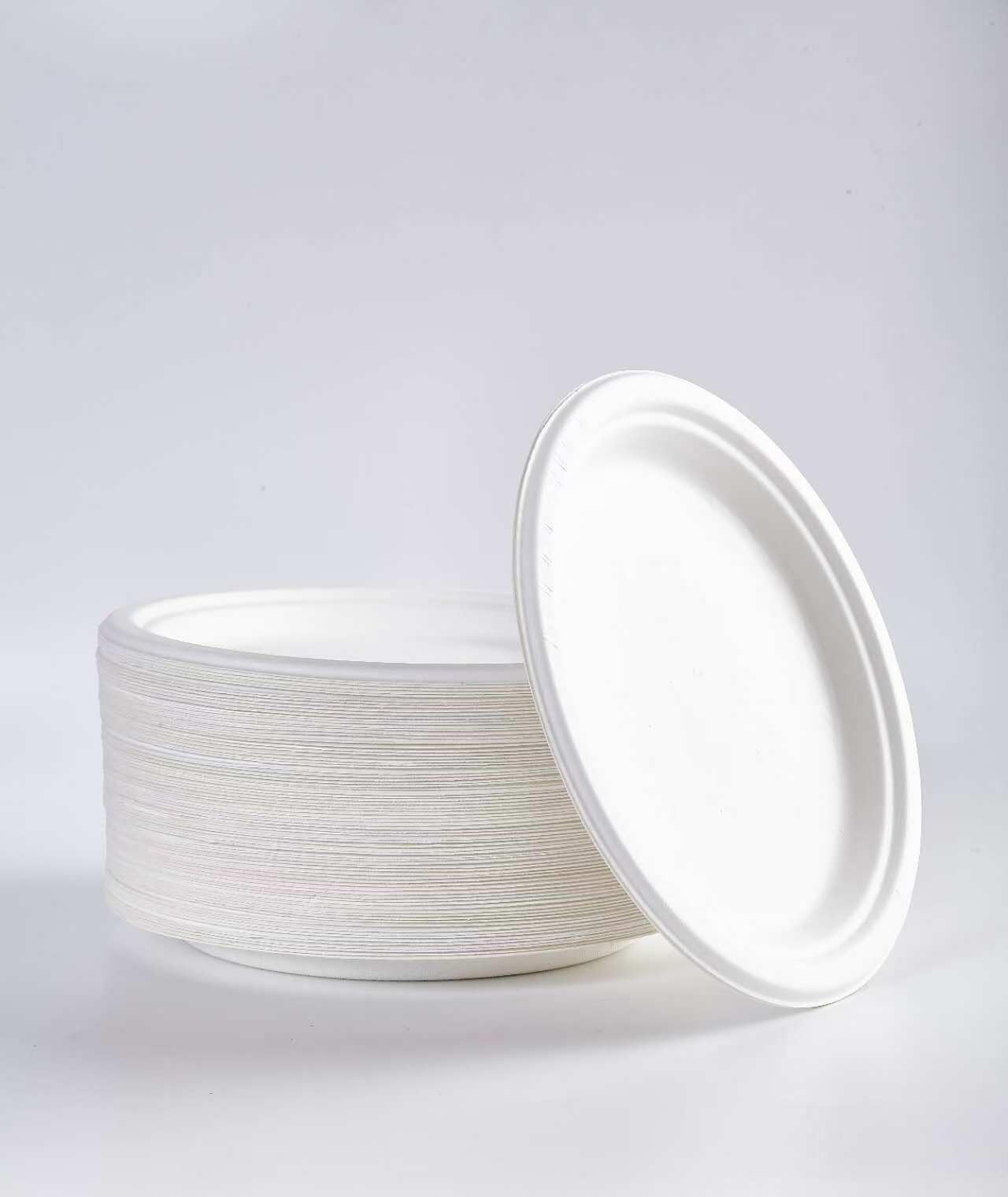 RXNHGJDS 100% Paper Plate,Compostable,Recyclable,Disposable,(9-inch ...