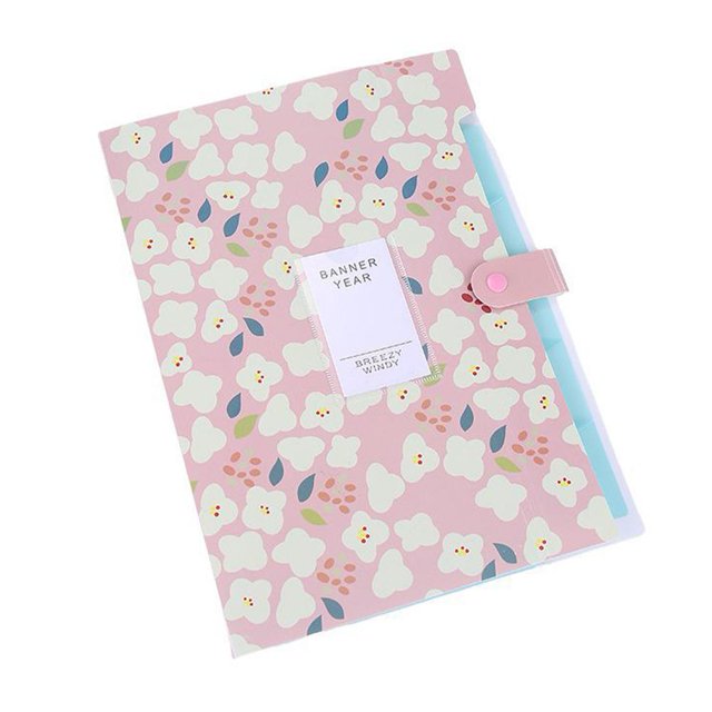 RYGRZJ Plastic Snap Closure A4 Size File Holder File Organizer Document ...