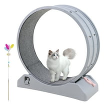 Pefilos 36" Cat Exercise Wheel for Indoor Cats, Cat Running Wheel with ...