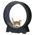 "RYPetmia 35"" Indoor Cat Exercise Wheel PVC Board, Kitty Treadmill ...