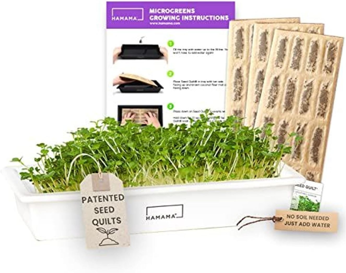 RYTZ Microgreens Growing Kit Kale, Broccoli & Salad - Indoor Sprouts ...