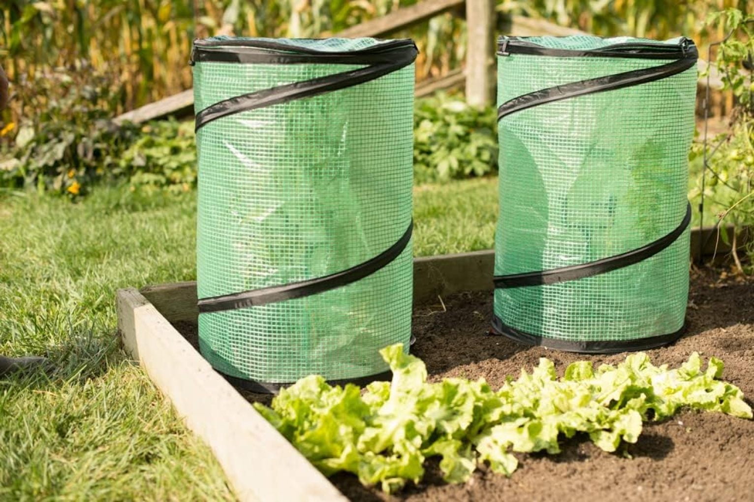 RYTZ Products 24246 Pop-Up Plant Growth Accelerator Greenhouse Covers ...