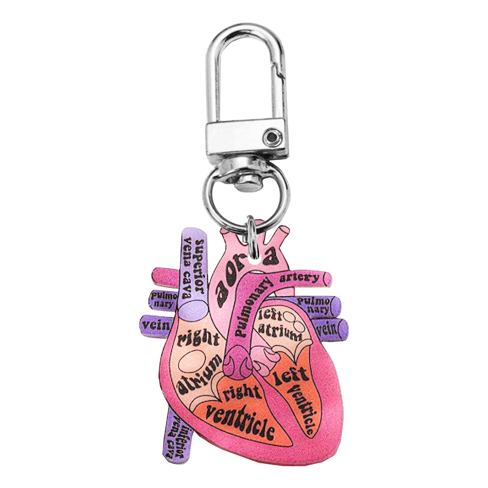 RYUJNDK Human Heart Diagram Keychain Detailed Heart Keychain Accessory ...