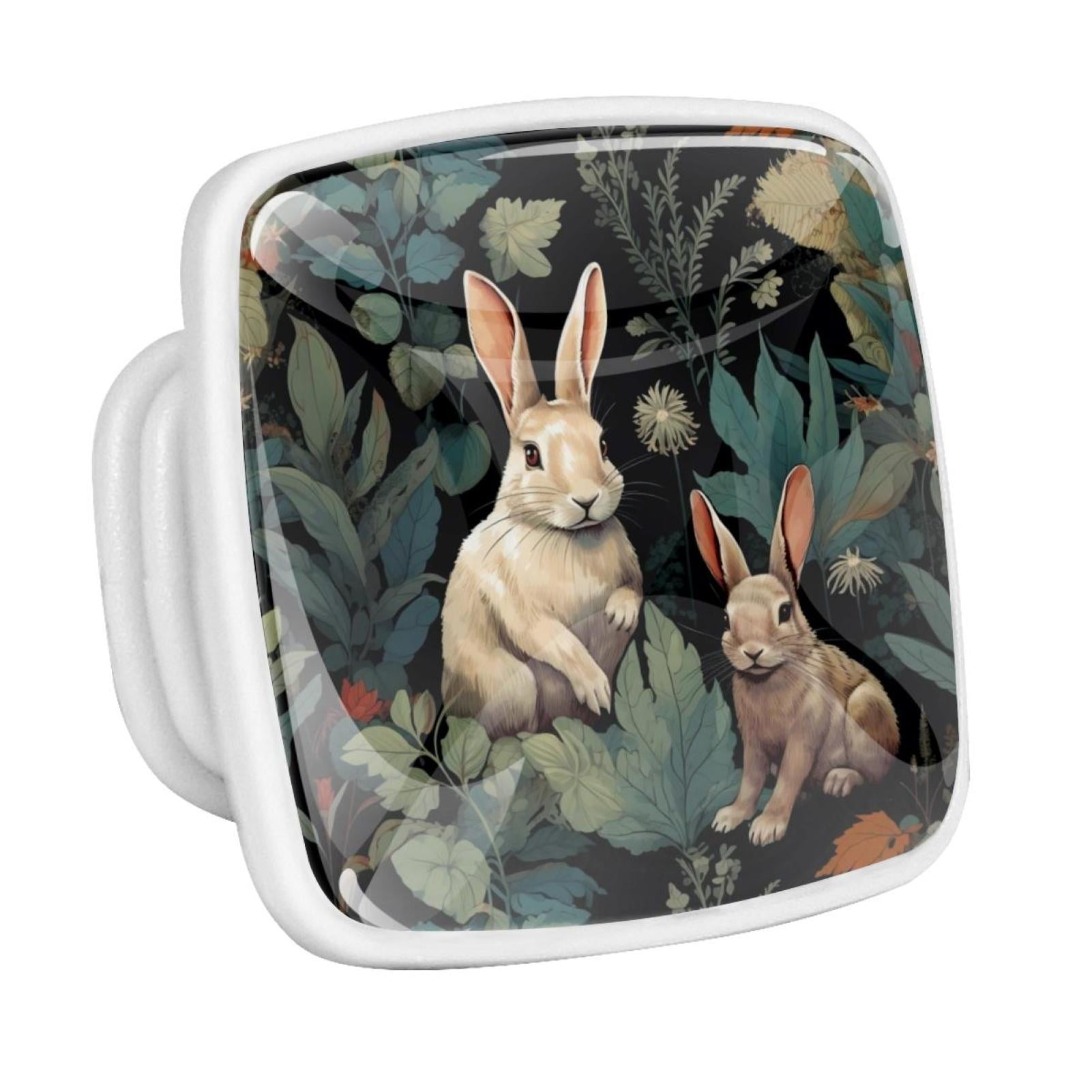 Rabbit Animal Fluorescent Drawer Pulls with Screws Square 4-Pack Glow ...