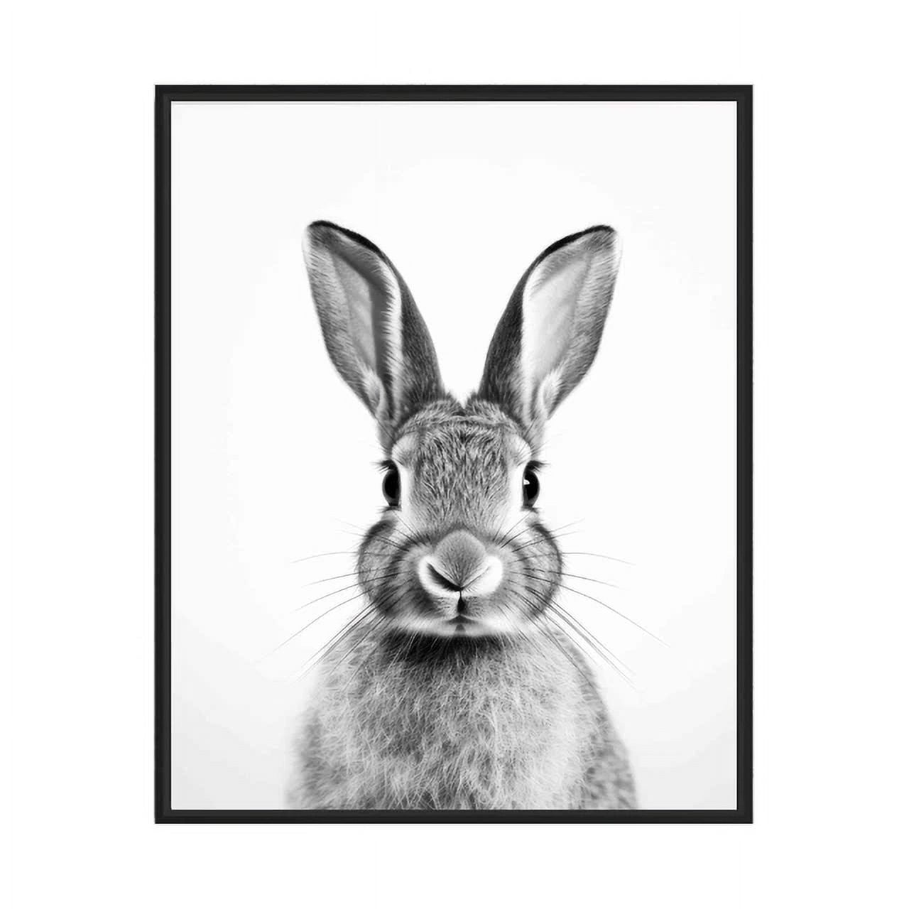 Rabbit Black And White Animal Photo Art Print Poster Wall Art Painting ...