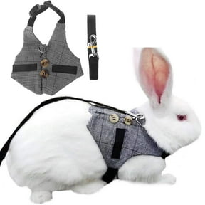 Ludlz Multipurpose Rabbits Hamster Vest Harness with Leash Bunny Mesh ...