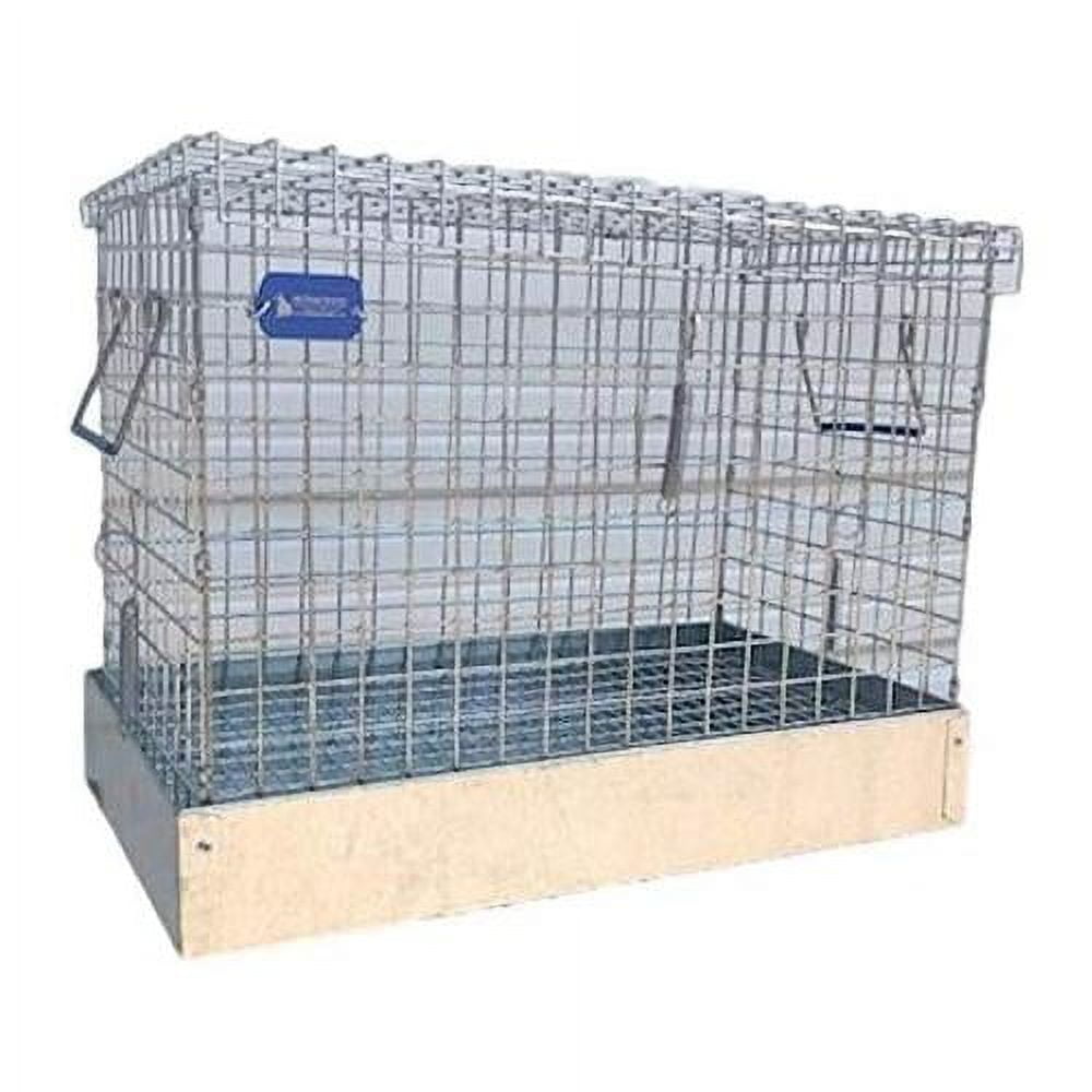 Rabbit Carrier/Transport Cage - 1 Hole (10X18x14) - Walmart.com