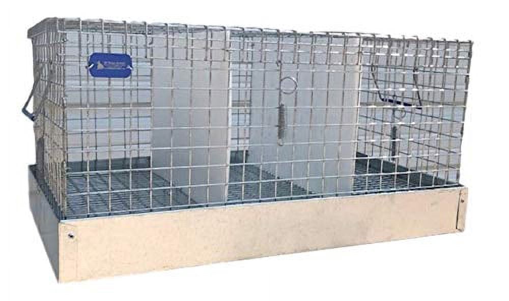 Rabbit Carrier/Transport Cage - 3 Hole (14x24x12) - Walmart.com