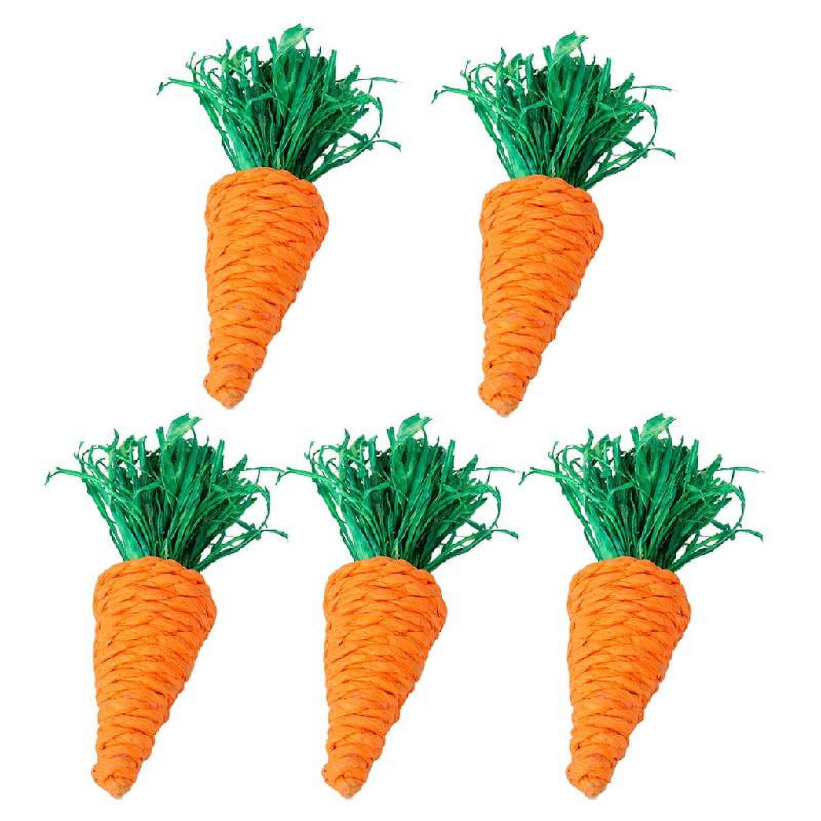 Rabbit Chew Toy Natural for Hay Grass Carrot Toys for Bunny Guinea Pig ...