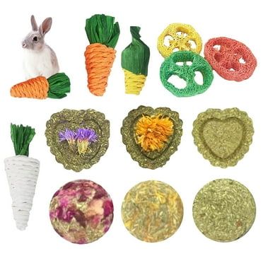 Qweryboo 2 Pcs, Small Pet Chew Toys, Apple Sticks & Timothy Hay for ...