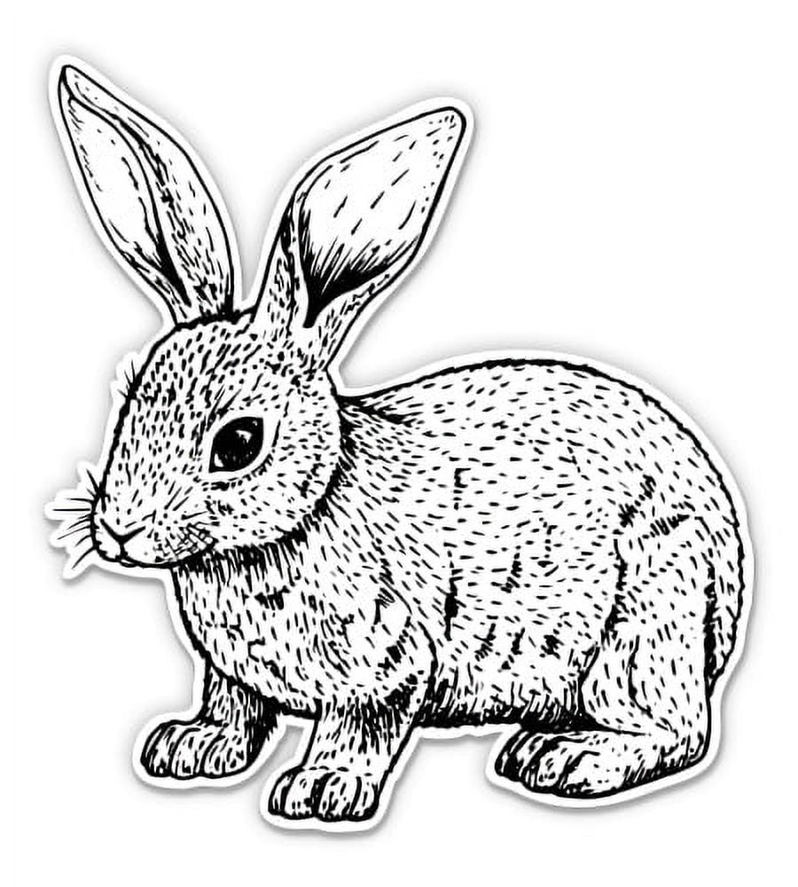 Rabbit Drawing Cute Bunny - 12" Vinyl Sticker Waterproof Decal ...