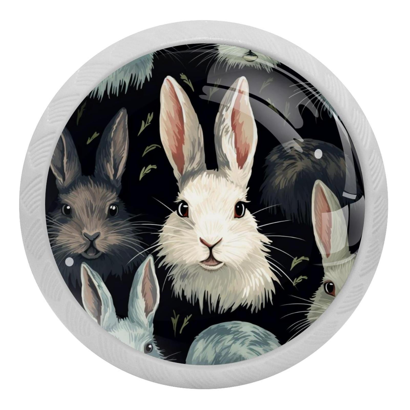 Rabbit Fluorescent Drawer Pulls: Round 4-Pack, Glow-in-the-Dark Knobs ...