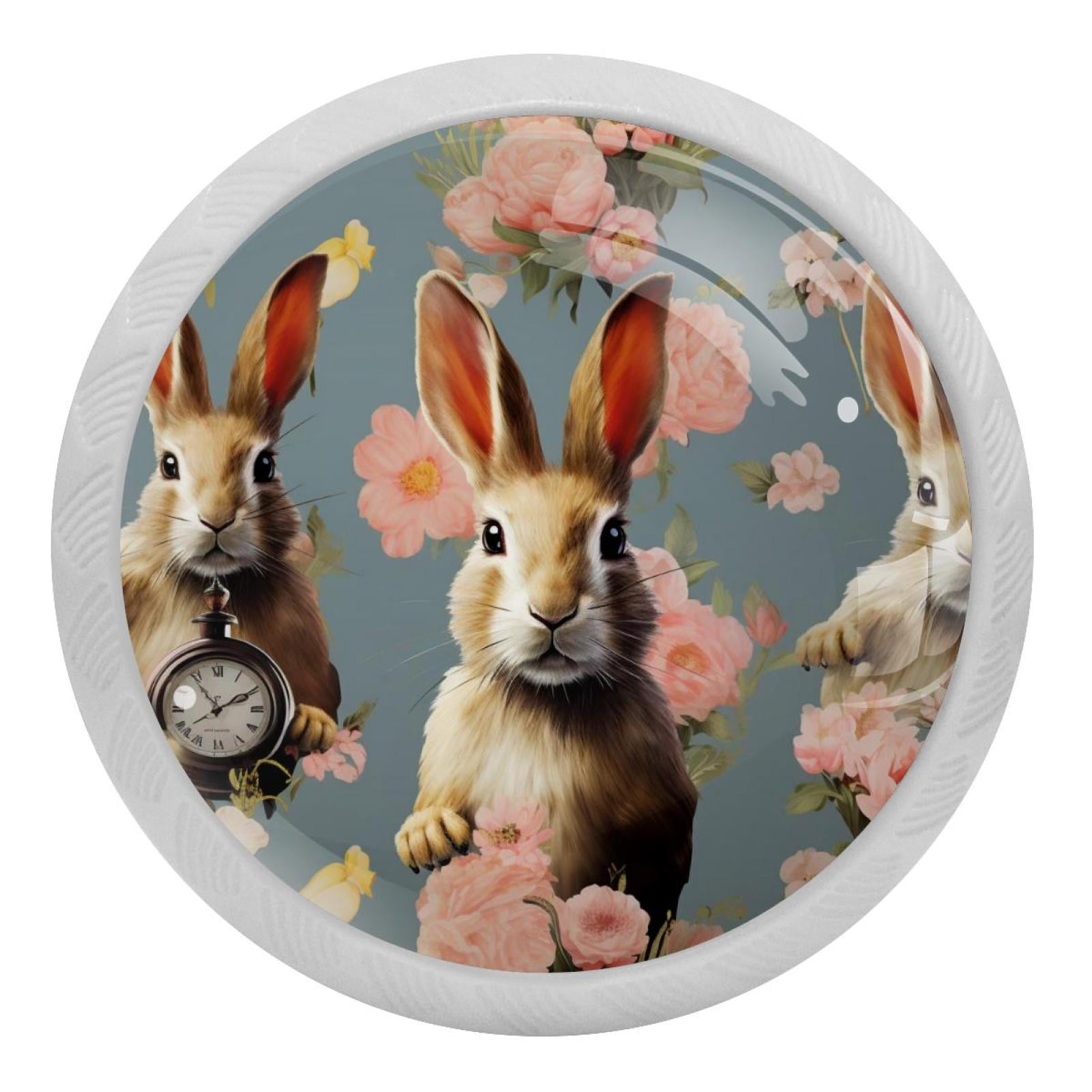 Rabbit Fluorescent Drawer Pulls with Screws - Round 4-Pack Glow-in-the ...