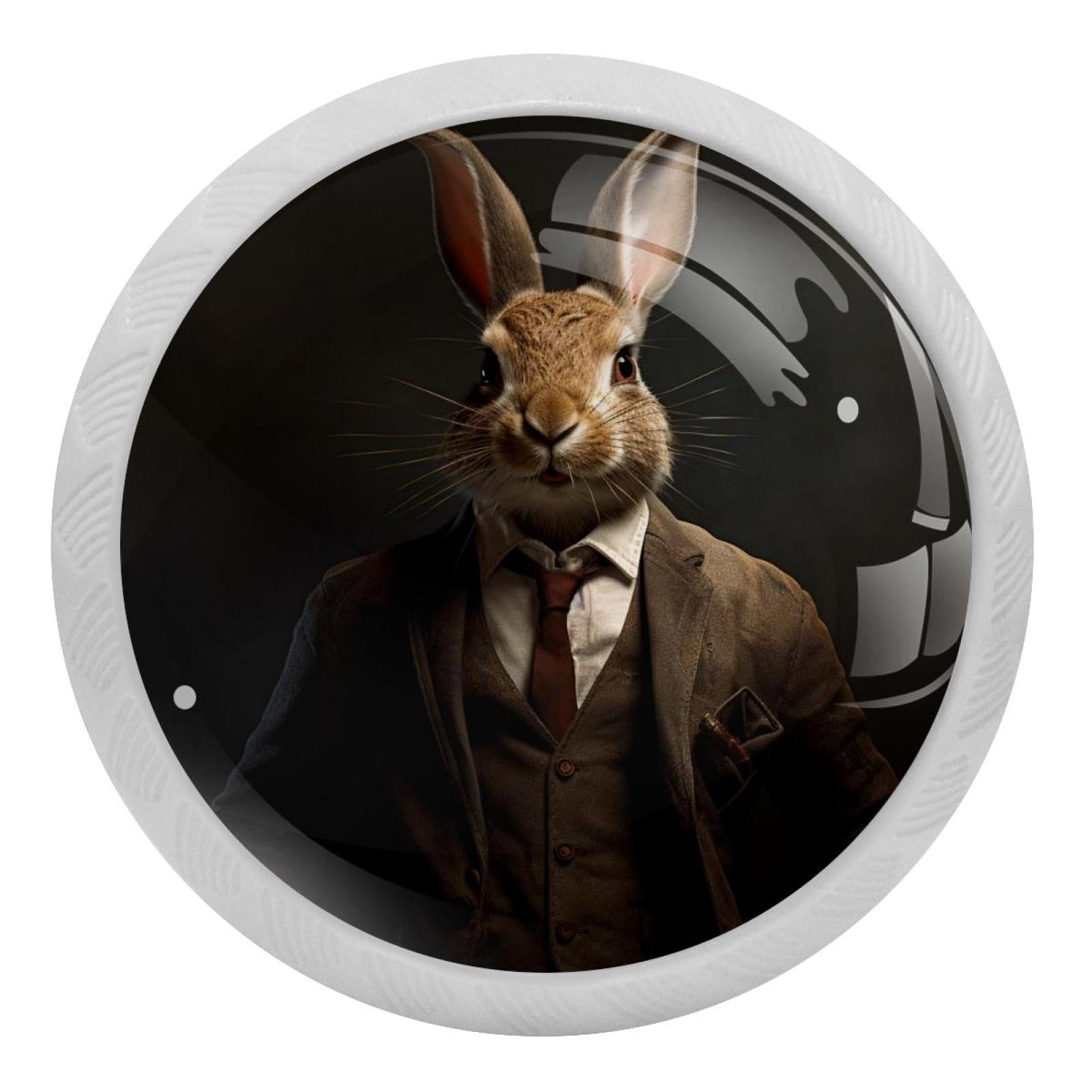 Rabbit Fluorescent Drawer Pulls with Screws: Round 4-Pack Glow-in-the ...