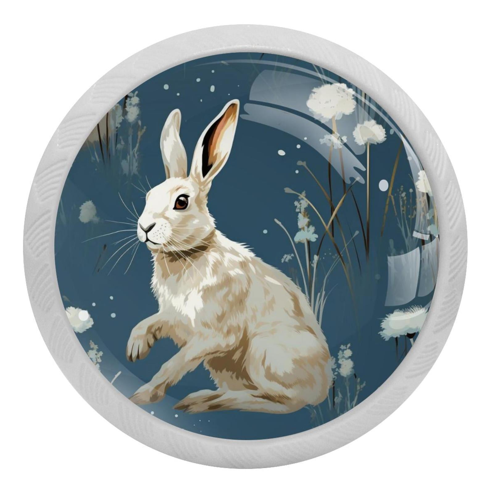 Rabbit Fluorescent Glow-in-the-Dark Dresser Pulls with Screws - Round 4 ...