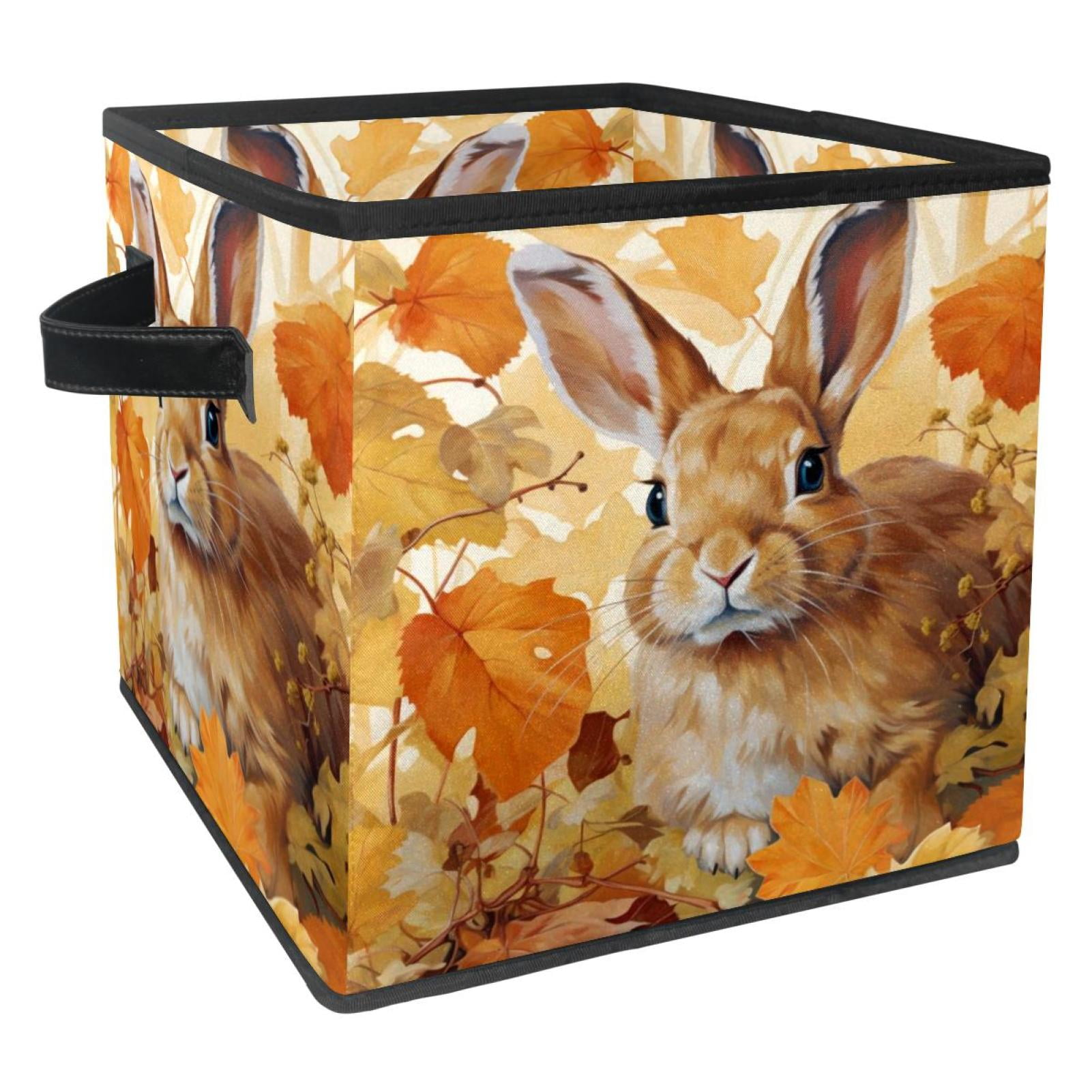 Rabbit Foldable Storage Bin with Handle, 10.8"x10.5"x10.6", Large ...