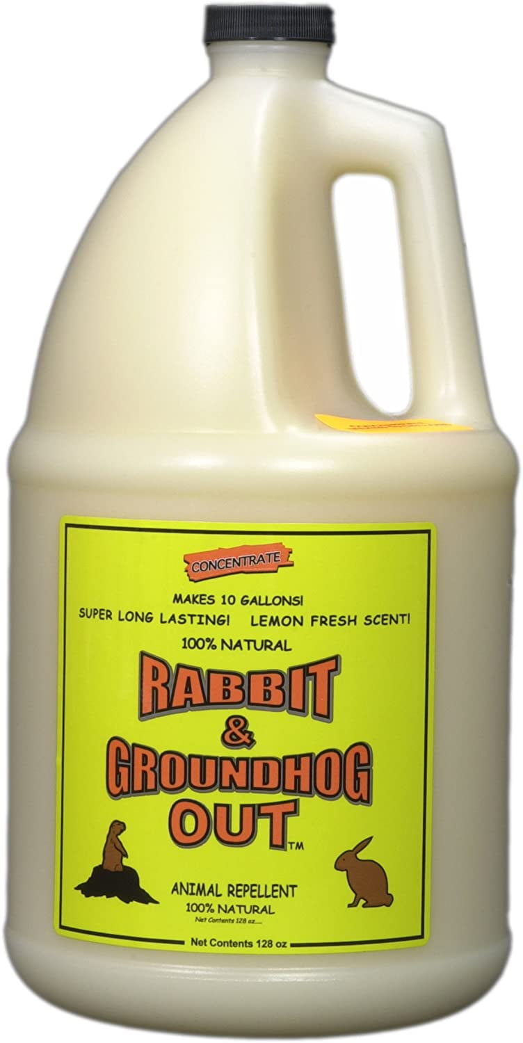 Rabbit & Groundhog Repellent: Rabbit Out 1 Gallon Concentrate - Walmart.com
