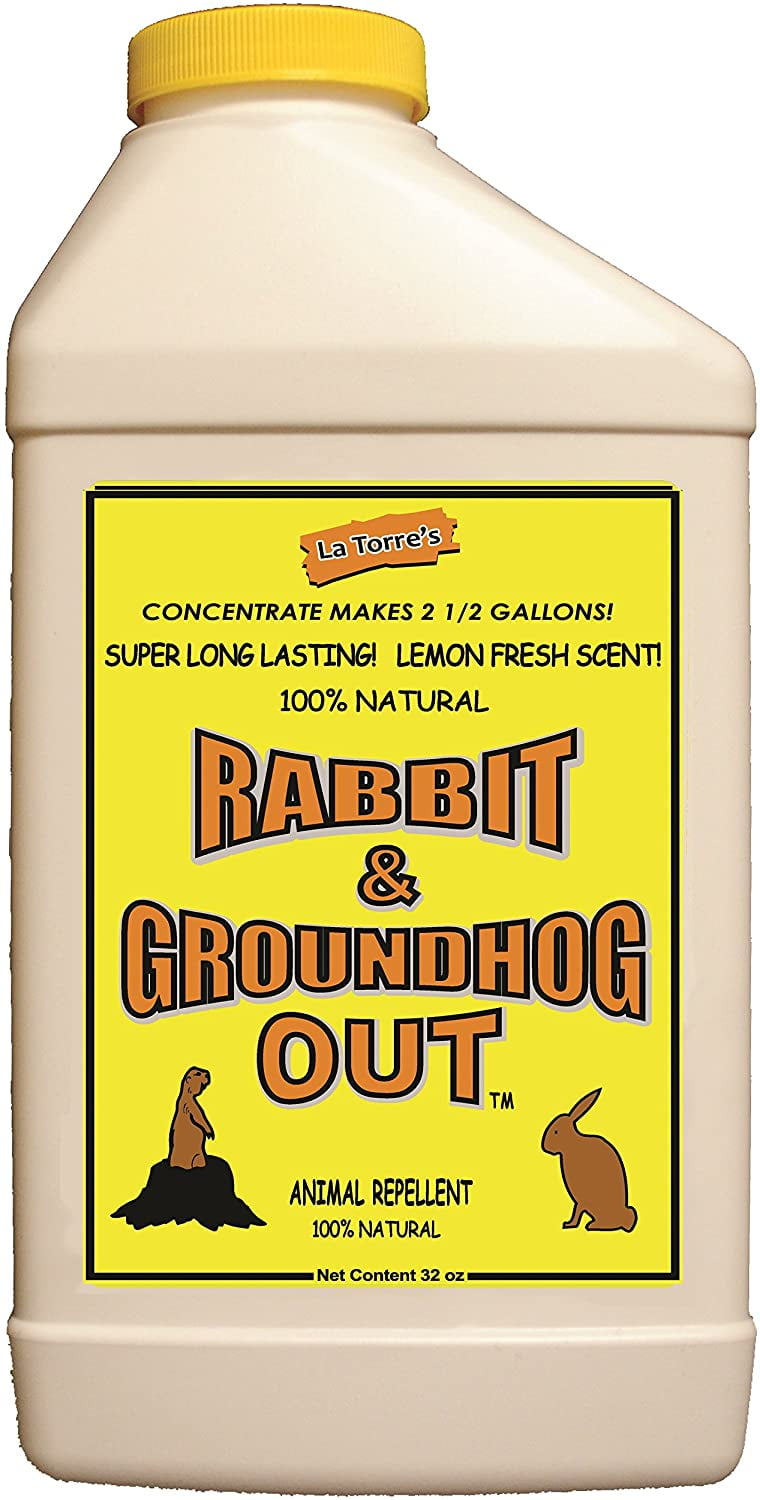 Natural Animal Away Rabbit & Groundhog Repellent 32oz Concentrate ...