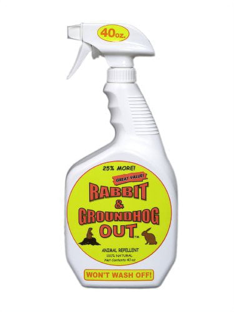 Rabbit & Groundhog Repellent by Deer Out, Ready-to-Use, 40oz Solution ...