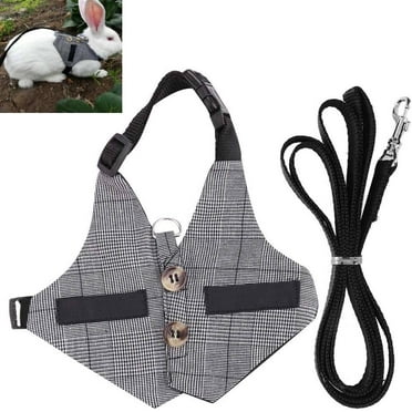 Ludlz Multipurpose Rabbits Hamster Vest Harness with Leash Bunny Mesh ...