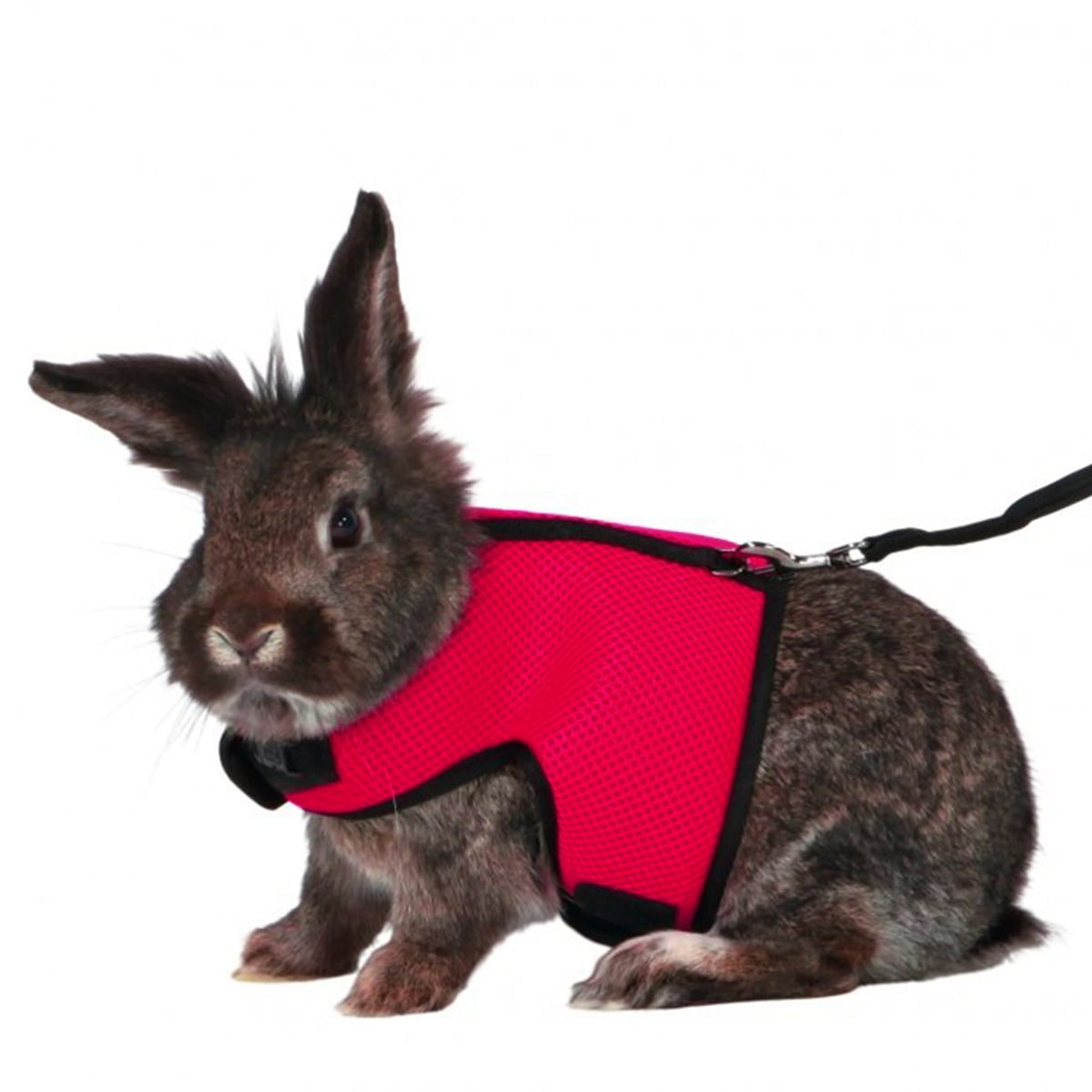 Rabbit Harness Leash Lead Bunny Toy Straps Leashes Small Breed Dogs Pet ...
