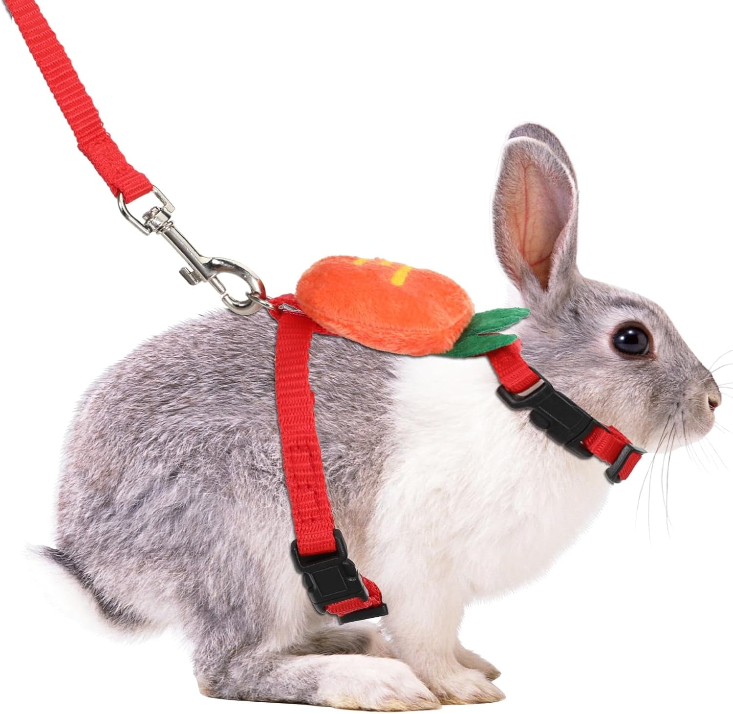 Rabbit Harness and Leash Set, Adjustable Double Buckle Bunny Leash ...