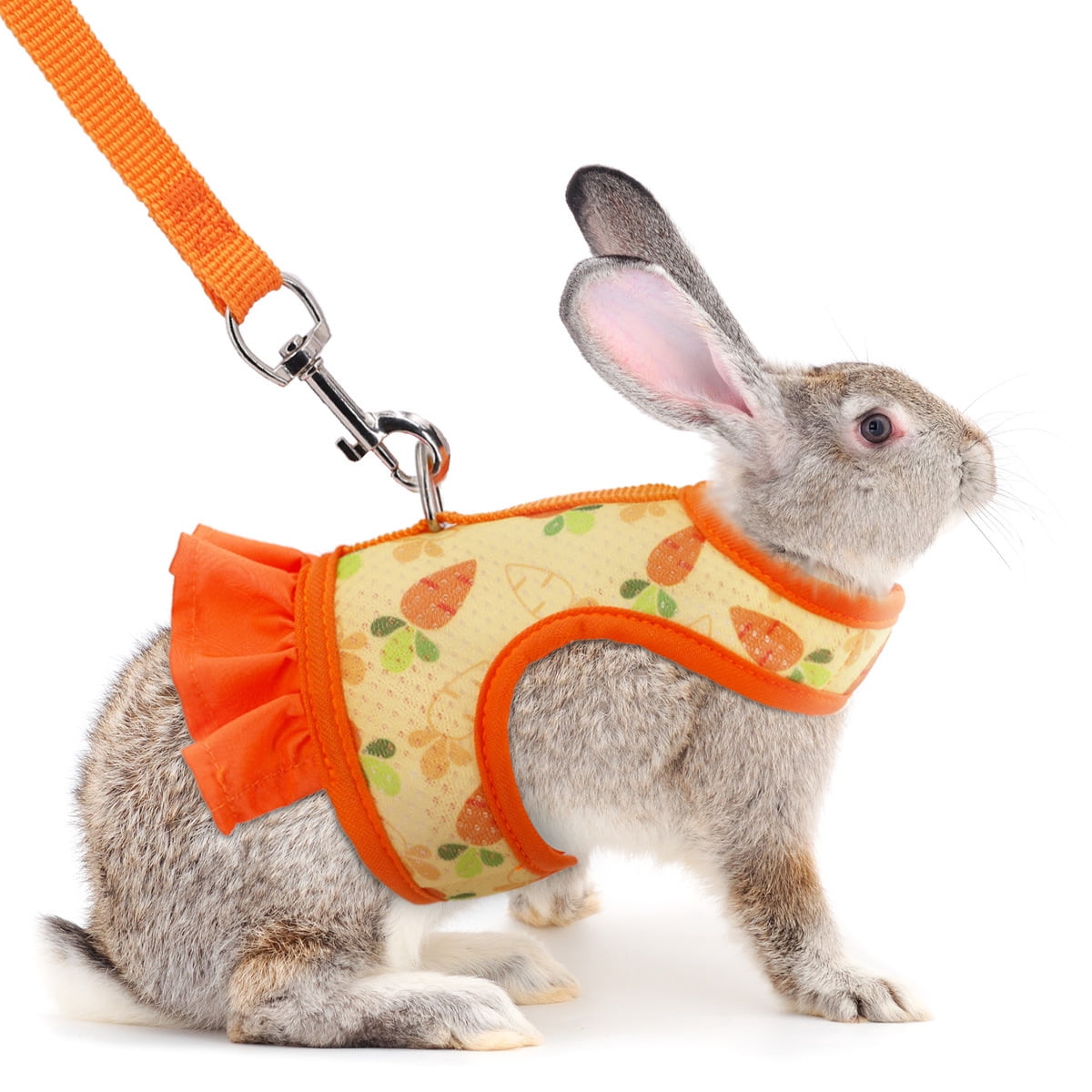 Rabbit Harness and Leash for Walking Escape Proof - Cute Carrot Pattern ...