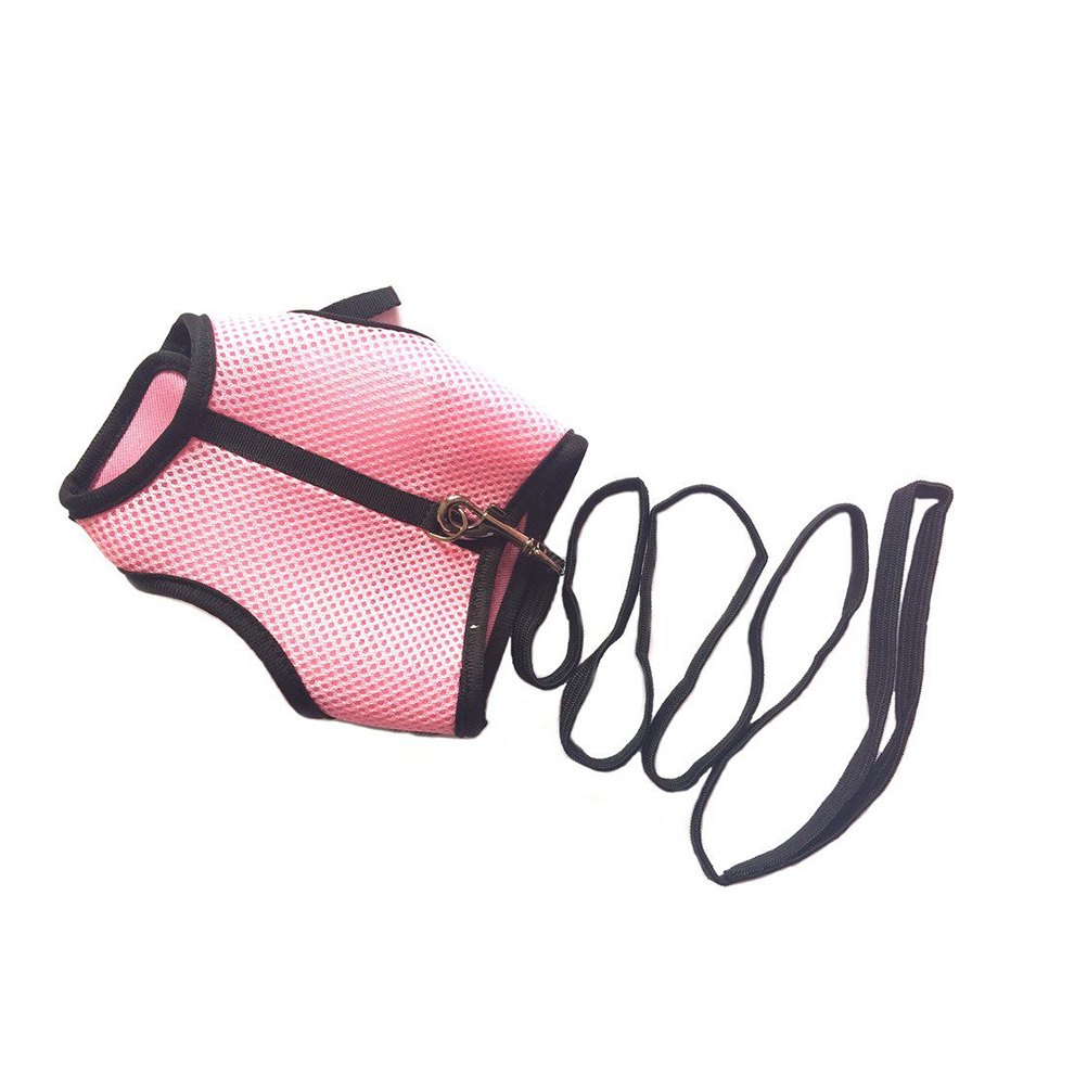 Rabbit Harness and Leash Pet Outdoor Harness Belt Bunny Harness Small ...
