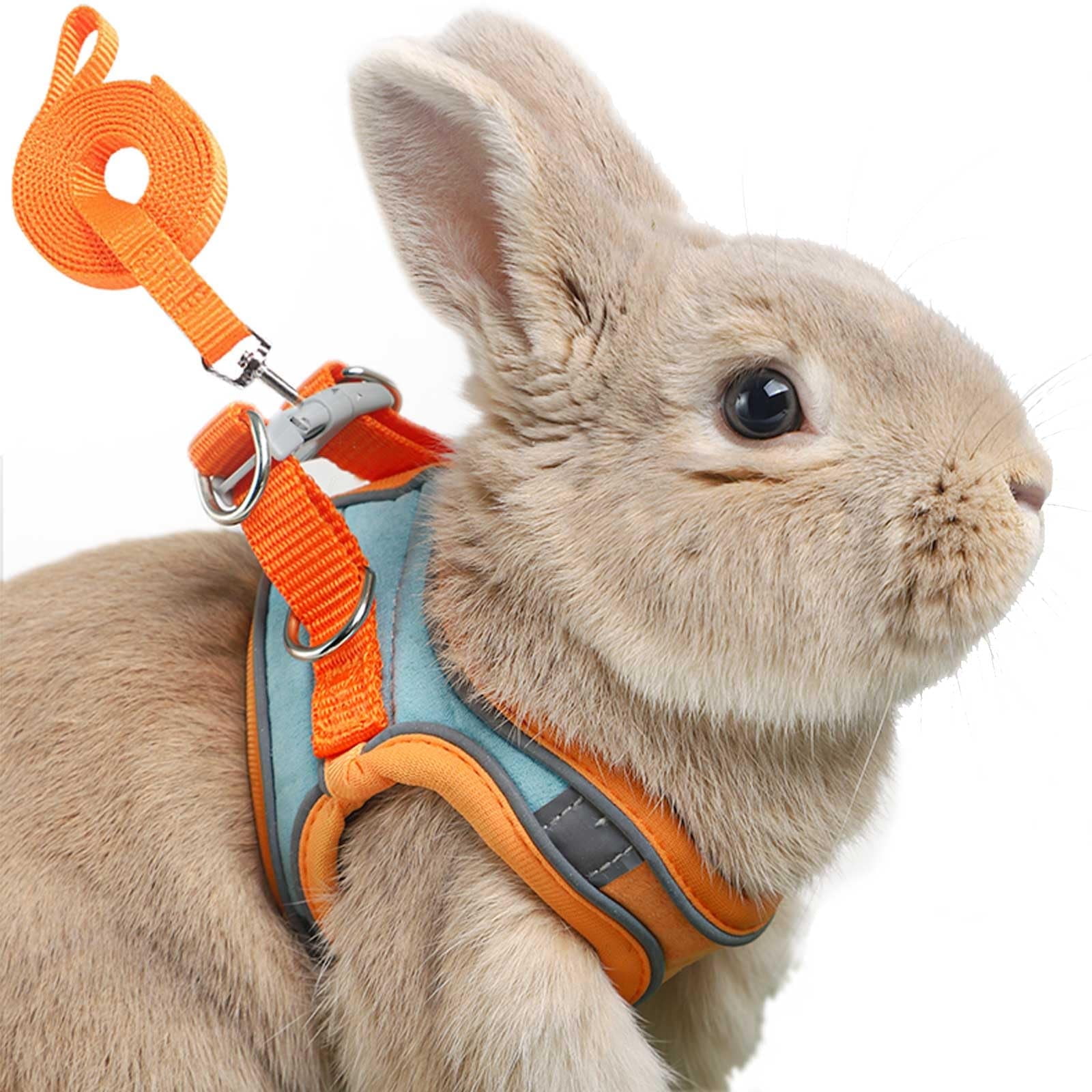 Pouuzik Rabbit Harness and Leash Set - Adjustable Escape-Proof Soft ...
