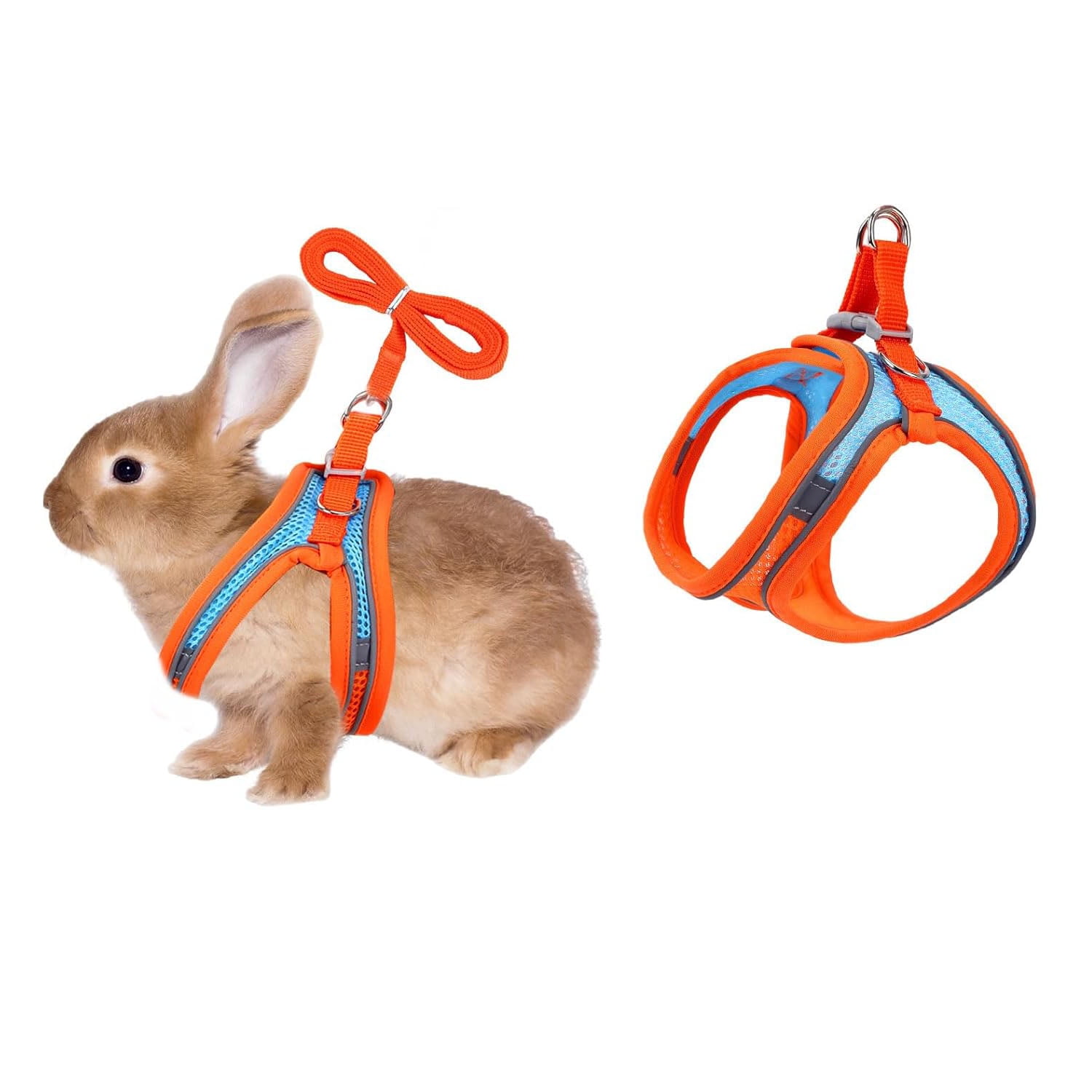 Rabbit Harness and Leash Set, Double Buckle Bunny Harness with ...