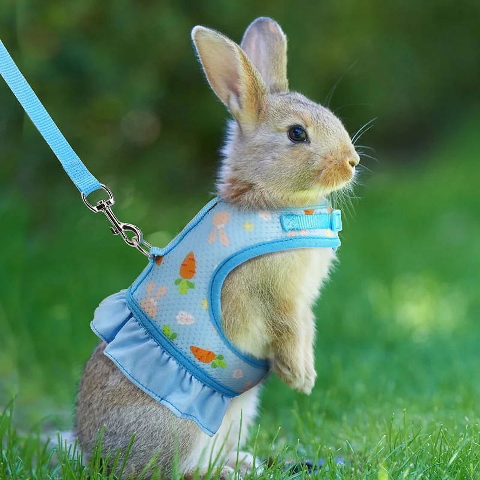 Rabbit Harness with Leash Cute Adjustable Buckle Breathable Mesh Vest ...