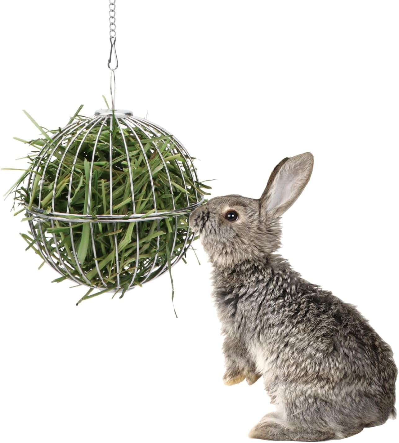 Rabbit Hay Ball Stainless Steel Hanging Feed Dispenser for Bunny ...