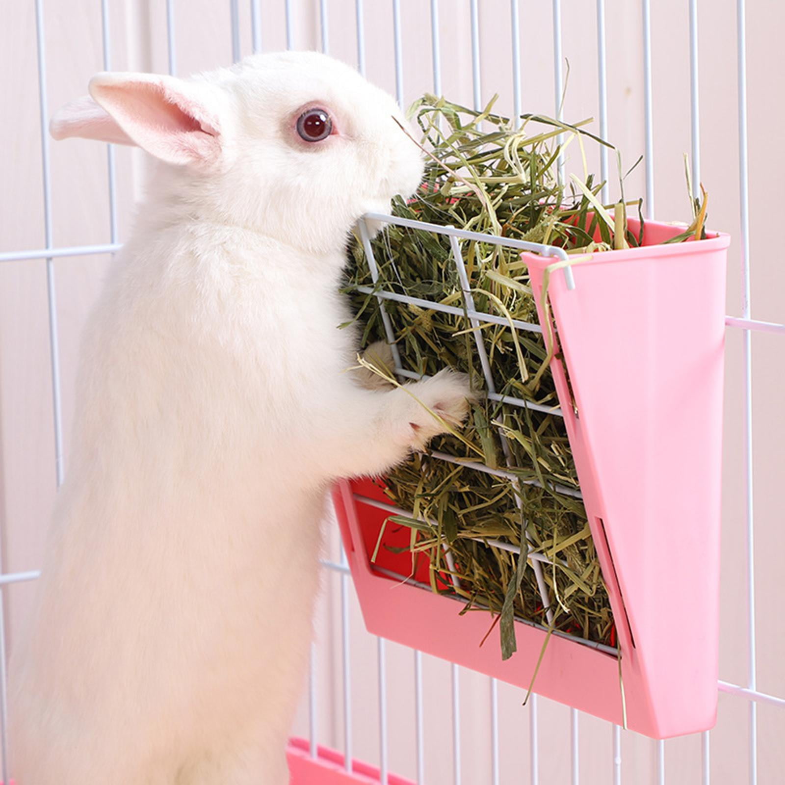 Rabbit Hay Feeder Food Dispenser Cage Hay Dispenser Easy to Install and ...