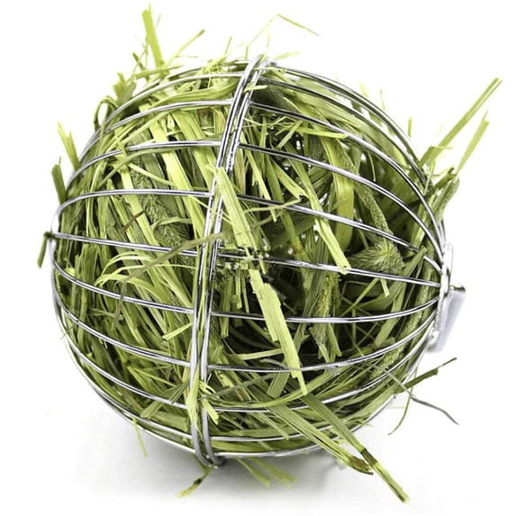 Rabbit Hay Feeder, Grass Play Hay Ball Chew Toy 2 in 1 Stainless Steel ...