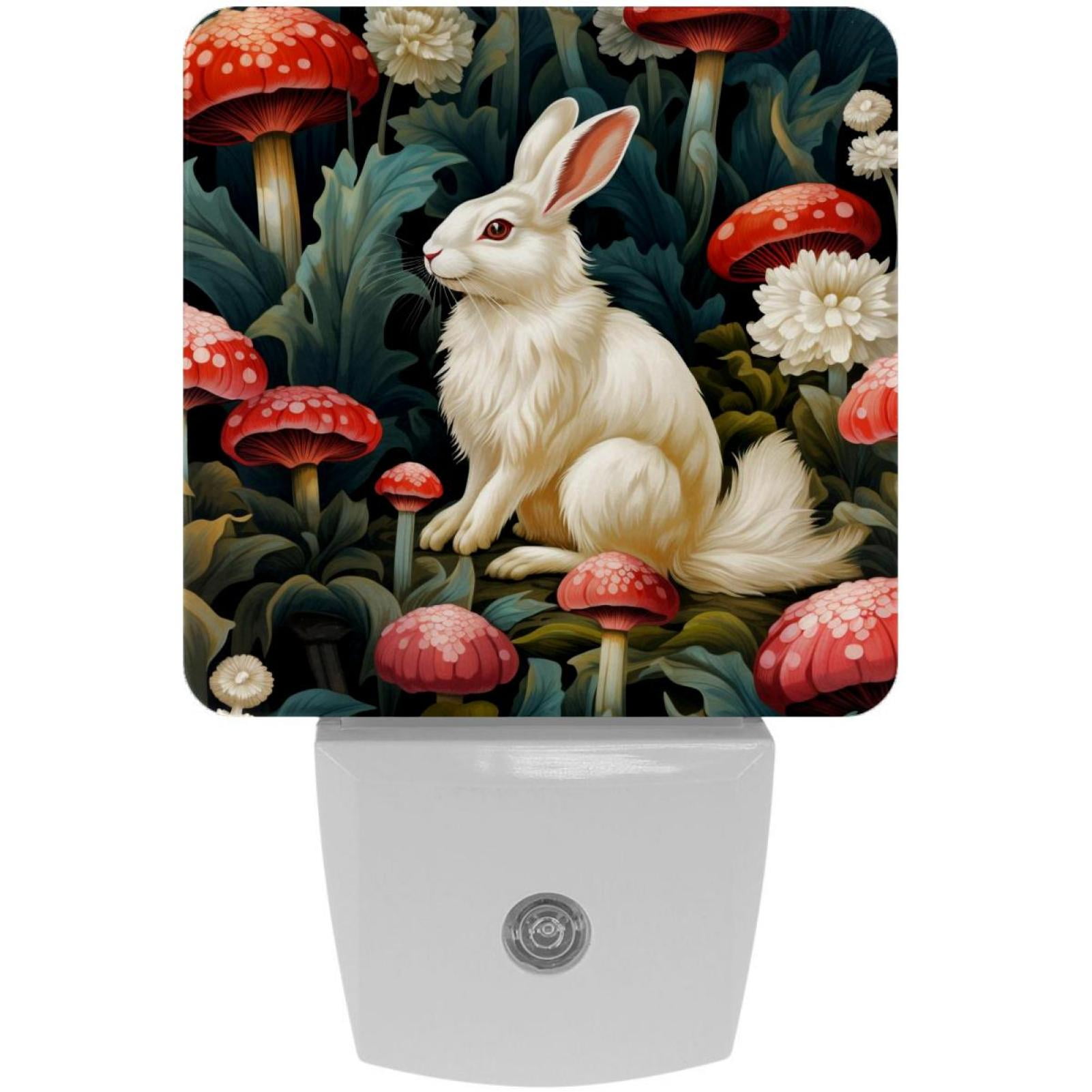 Rabbit LED Square Night Light for Bedroom and Bathroom - Energy ...