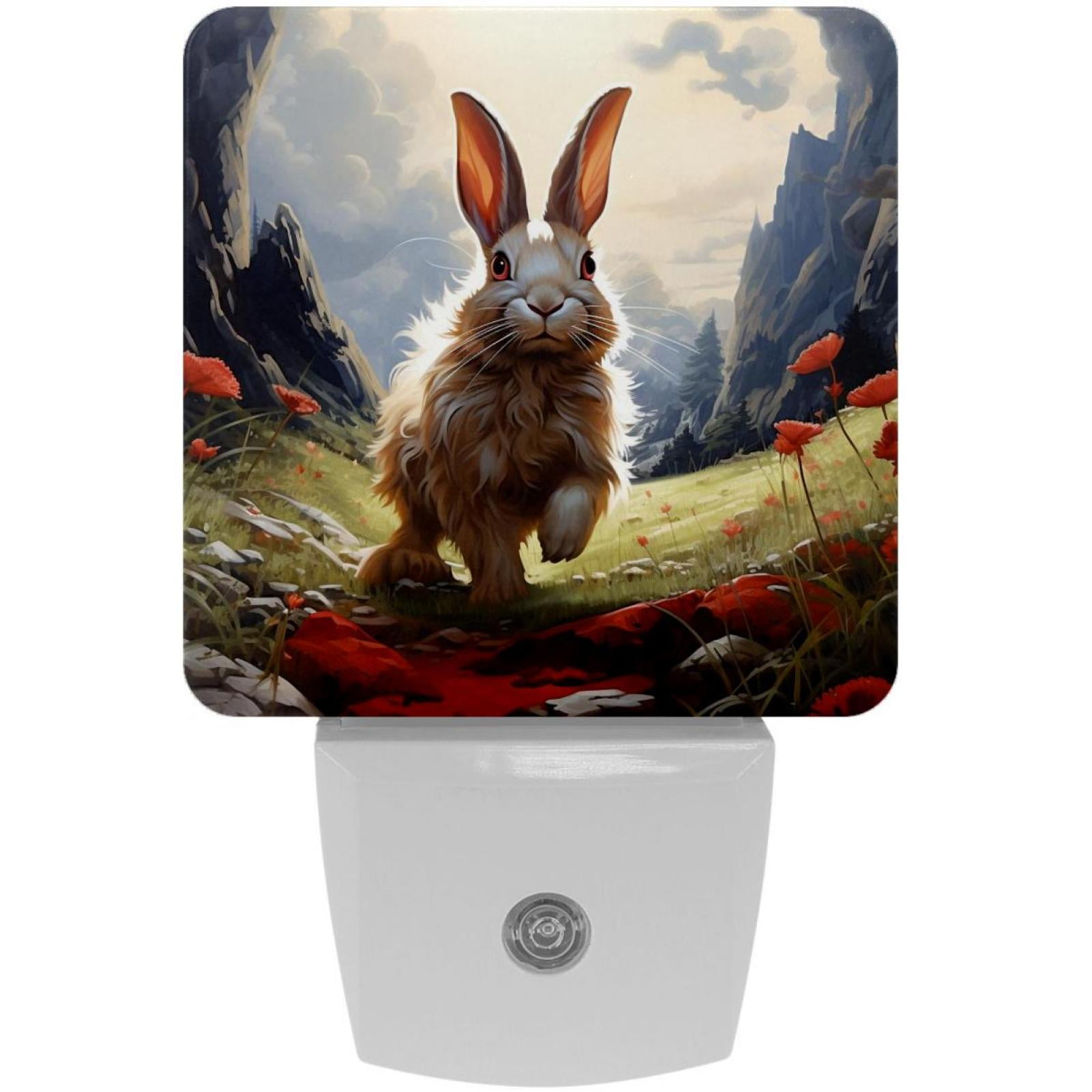 Rabbit LED Square Night Lights - Compact and Multifunctional ...