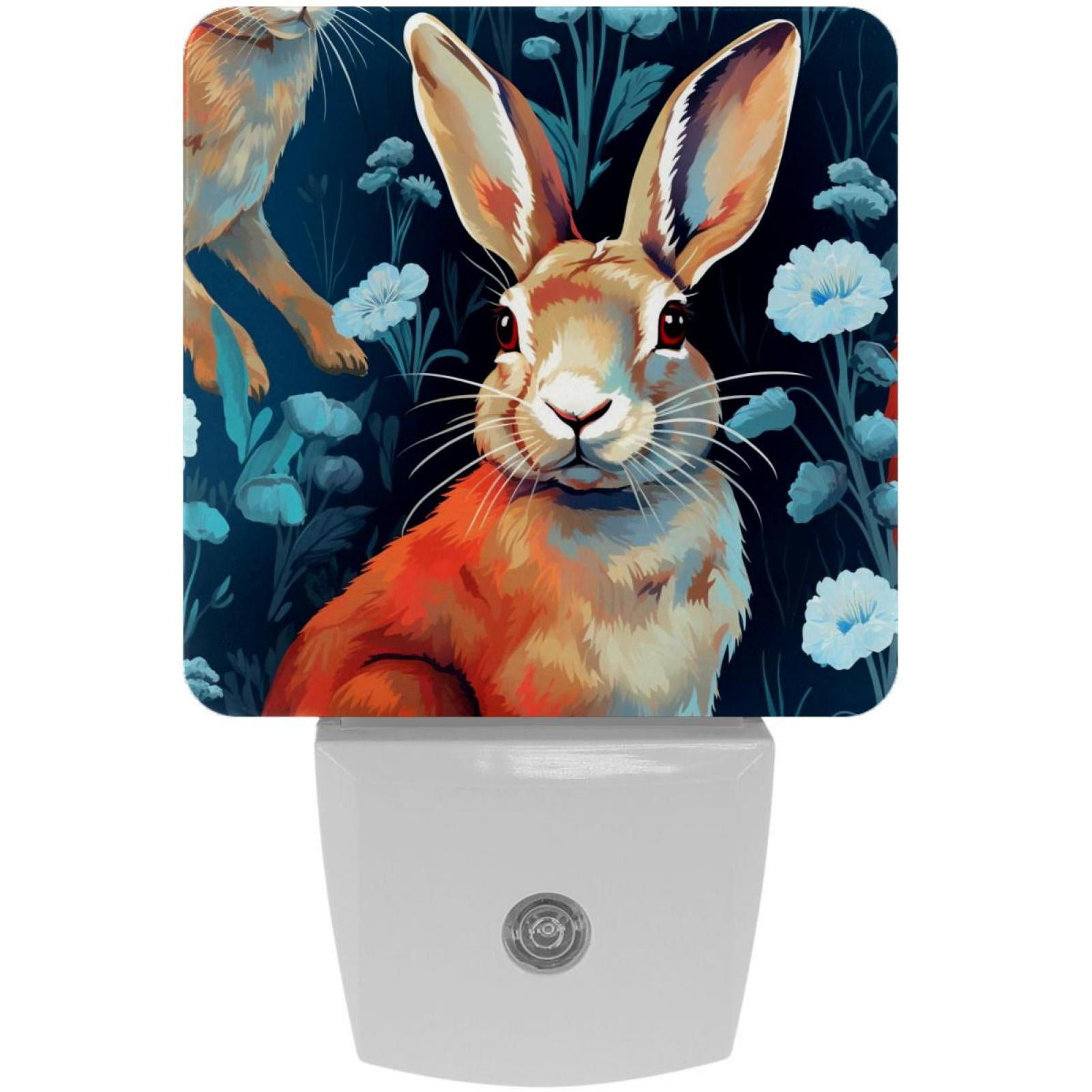 Rabbit LED Square Night Lights - Energy Efficient and Contemporary ...