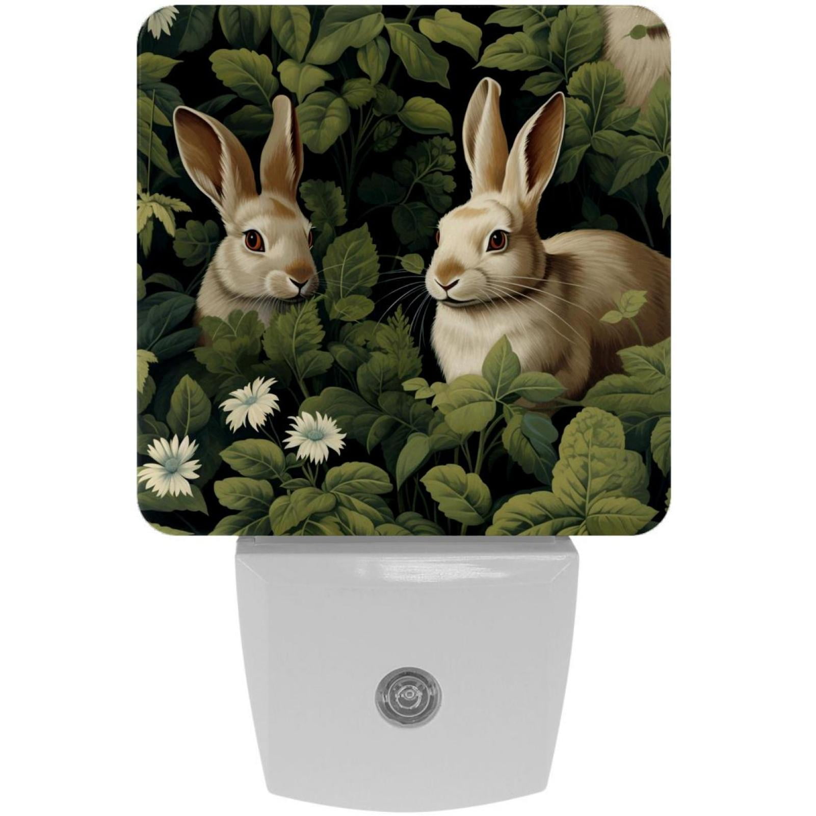 Rabbit LED Square Night Lights - Energy Efficient & Elegant Decorative ...