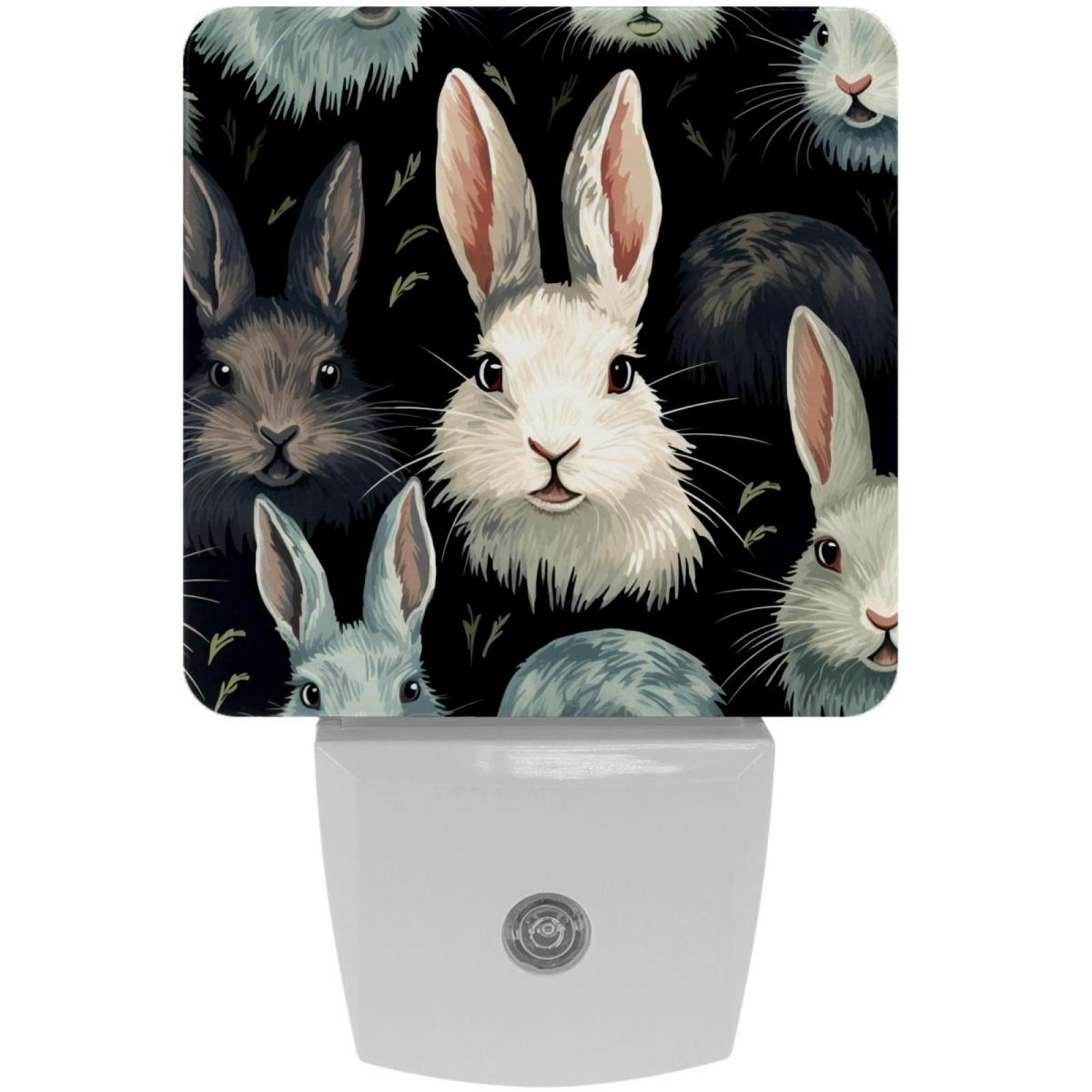Rabbit LED Square Night Lights - Energy Efficient and Sleek Design ...
