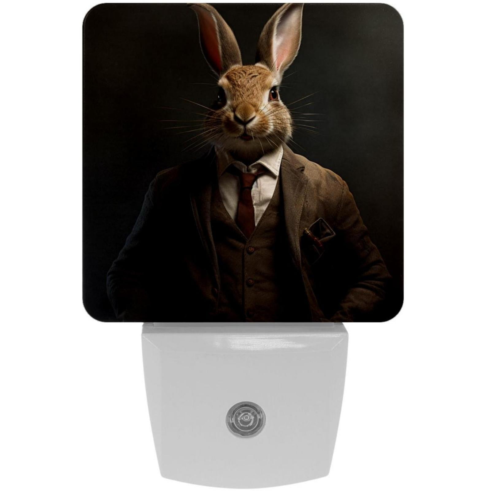 Rabbit LED Square Night Lights - Stylish and Energy-Efficient Lighting ...