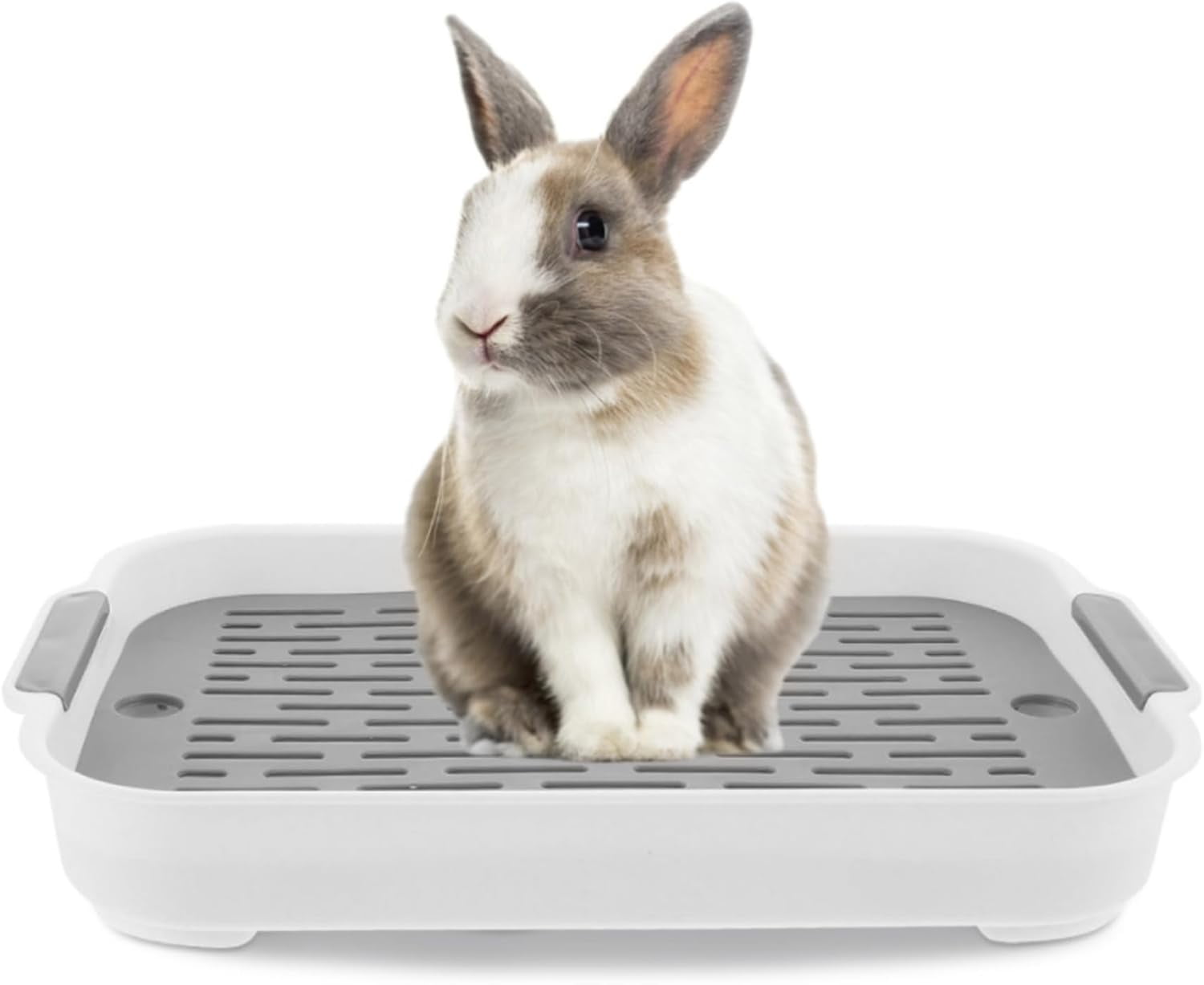 Rabbit Litter Box,Small Animal Litter Cage Potty Trainer Corner Litter ...