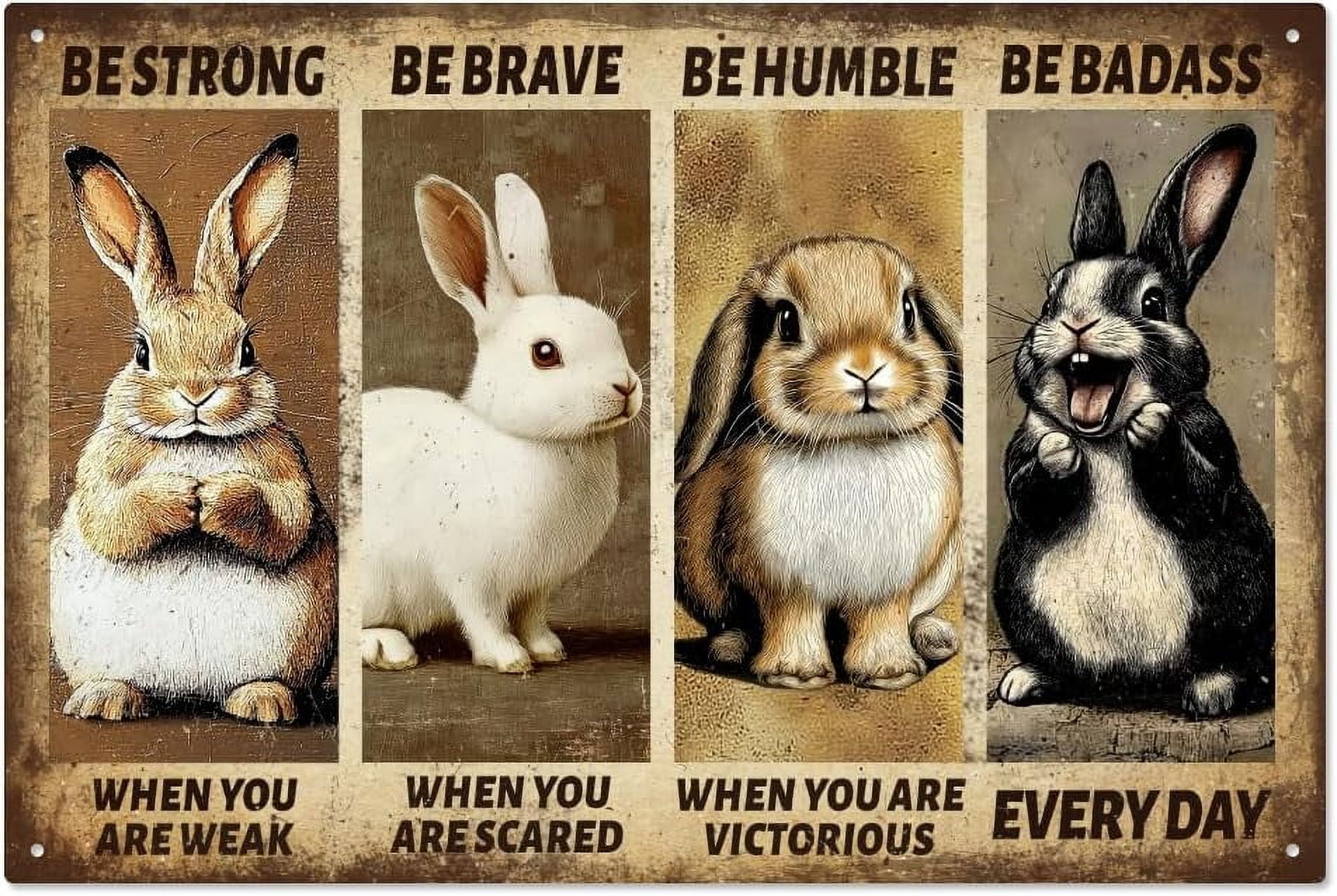 Rabbit Metal Tin Sign Bunny Rabbit Poster Motivational Quote Retro Tin ...