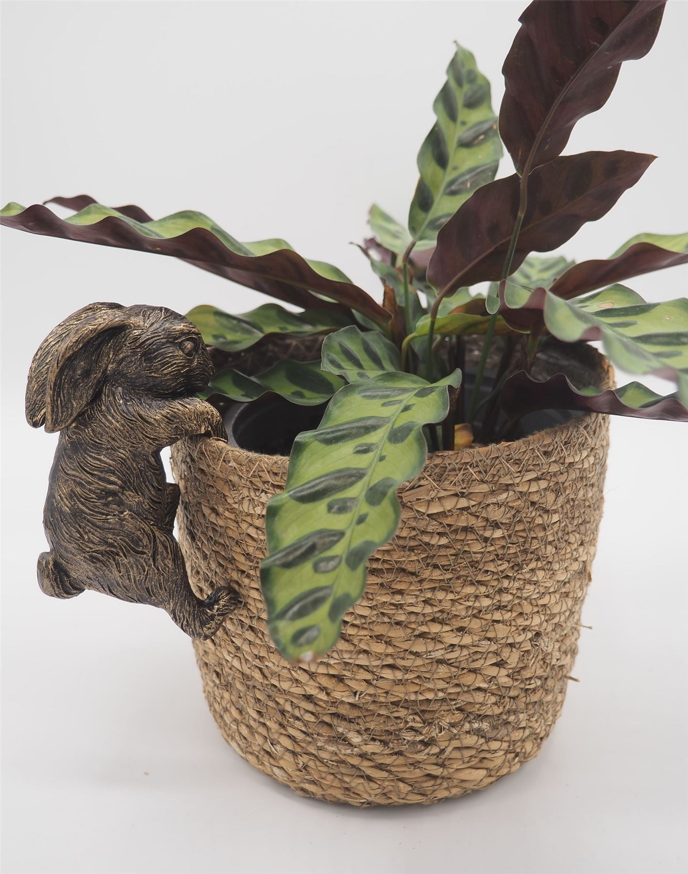 Rabbit Pot Buddies Plant Pot Hanger - Walmart.com