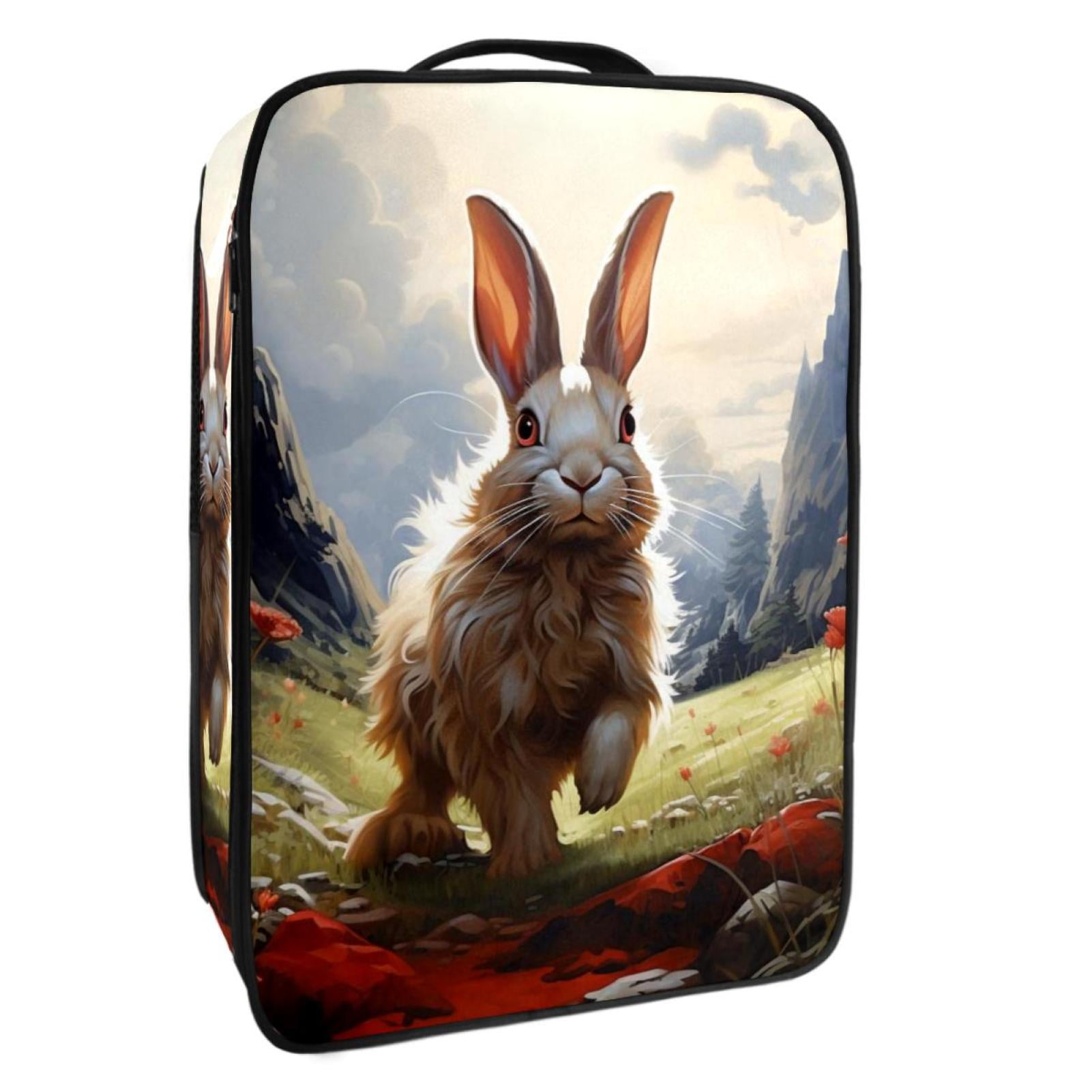 Rabbit Rack Organizer Storage Box for Shoes, 23x31cm/9x12in, Closet ...