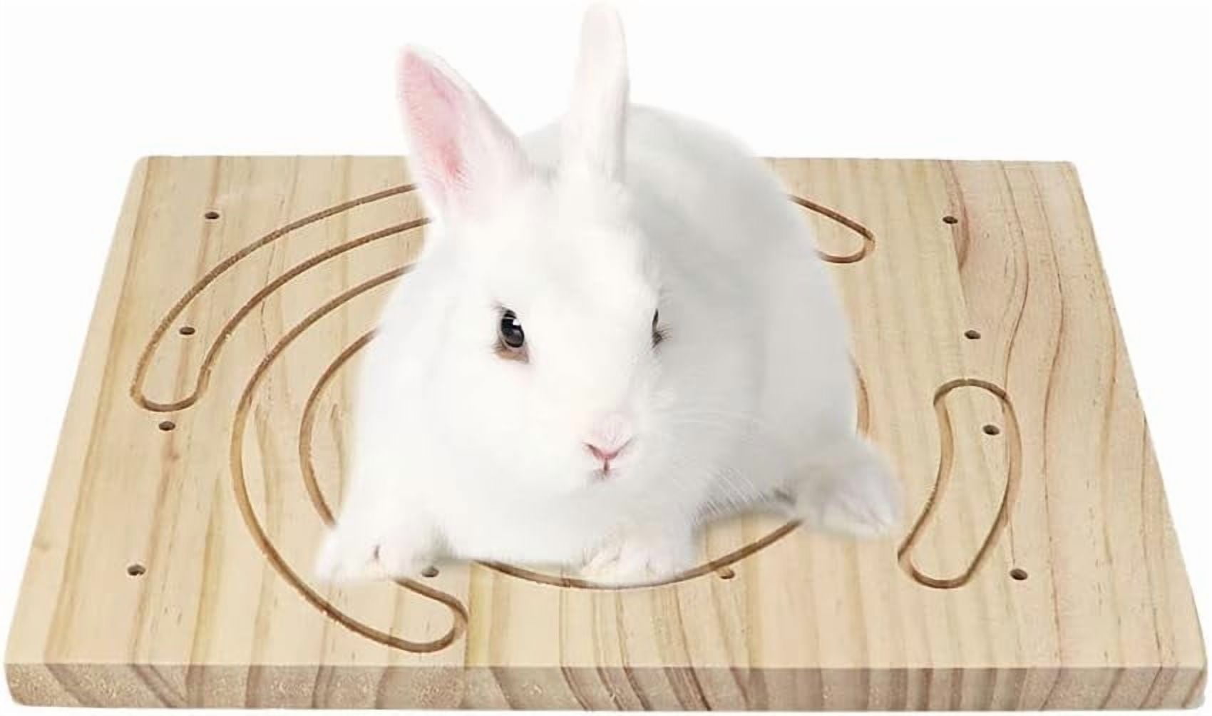 Rabbit Scratch Board Foot Pad Mat Chew Toy Grinding Claws Teeth Natural ...